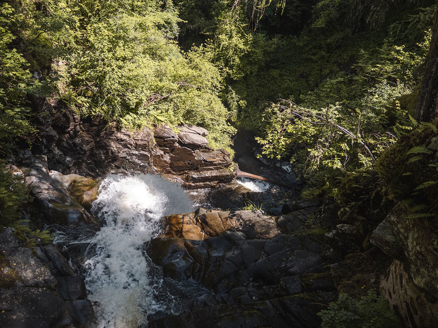 Birks of Aberfeldy & Falls of Moness: A Visitors Guide ﻿2024