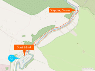 Dovedale Stepping Stones: A Complete Visitor’s Guide