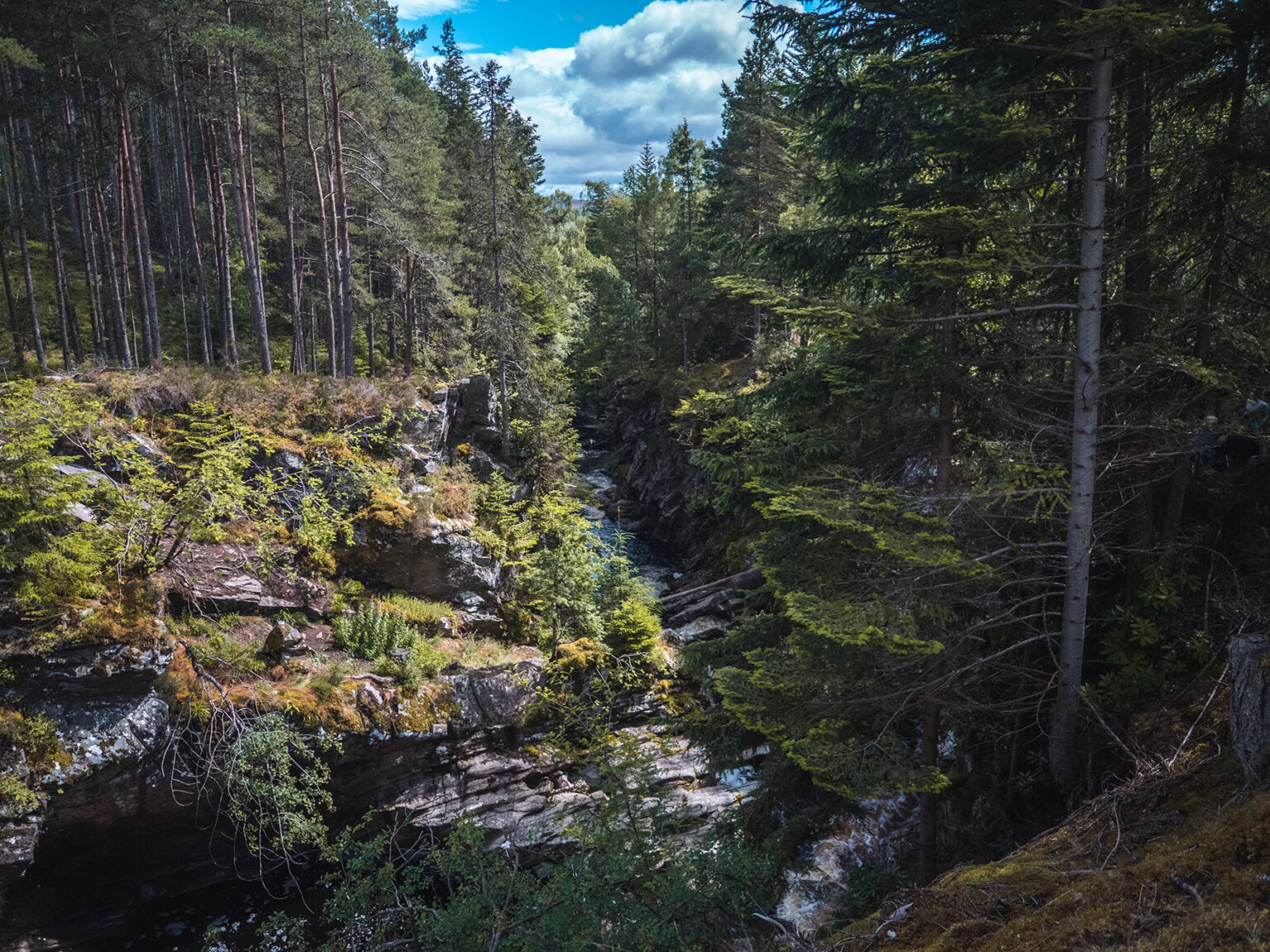 Falls of Bruar near Blair Atholl: A Walker’s Guide ﻿2024