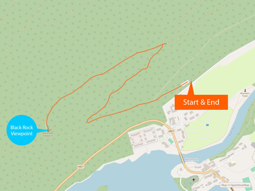 Tay Forest Park: A Complete Visitor’s Guide ﻿2024