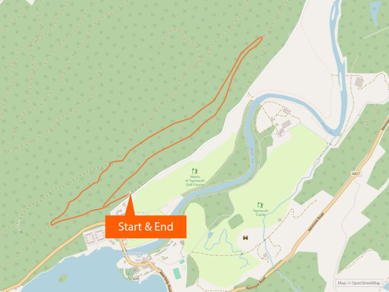 Tay Forest Park: A Complete Visitor’s Guide ﻿2024
