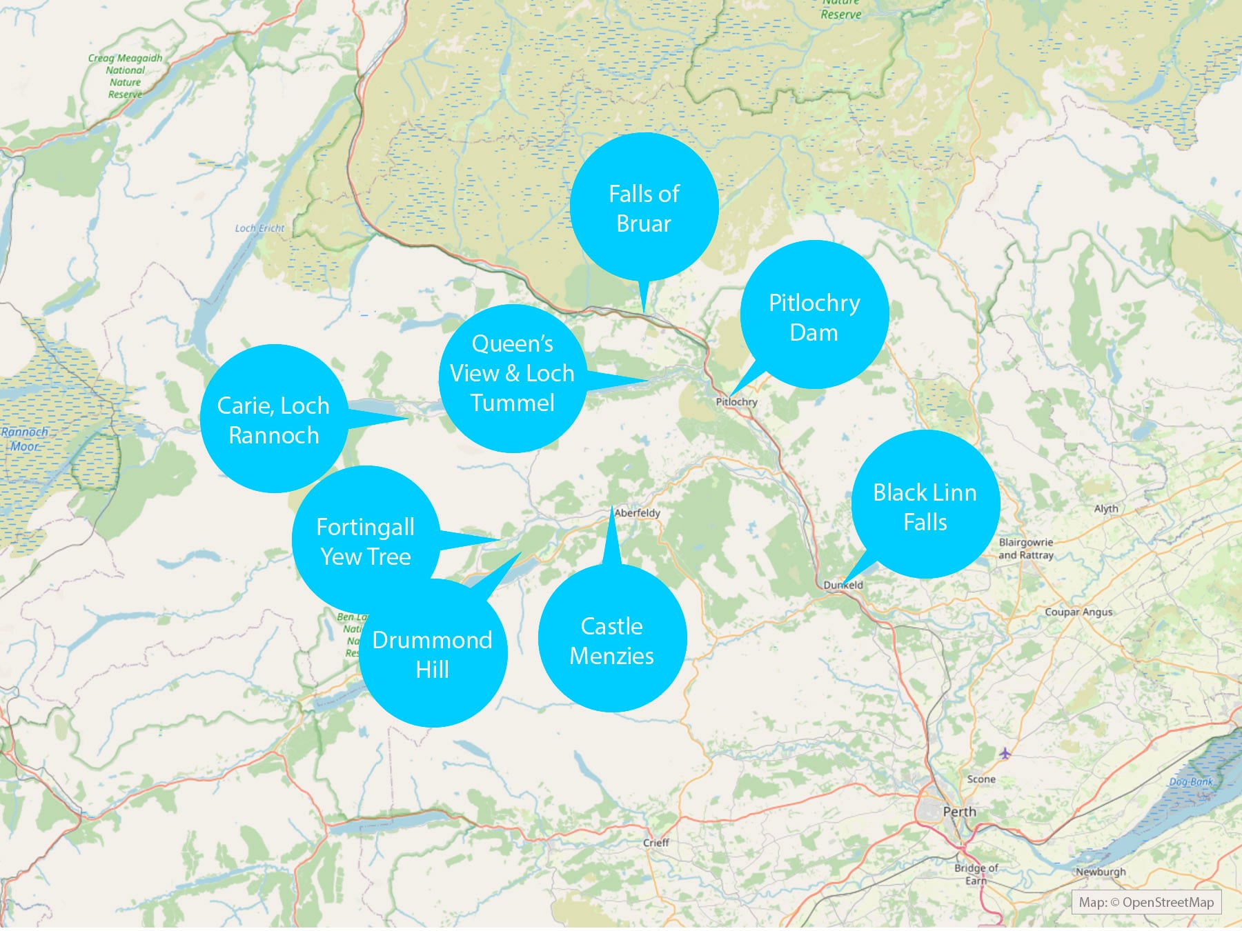 Tay Forest Park: A Complete Visitor’s Guide ﻿2024