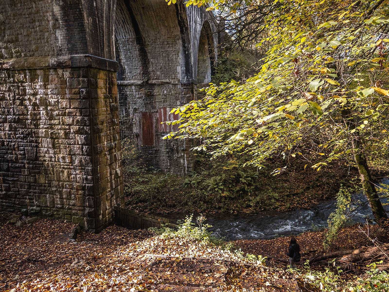 Chee Dale Stepping Stones Walk (Quickest): A Complete Guide