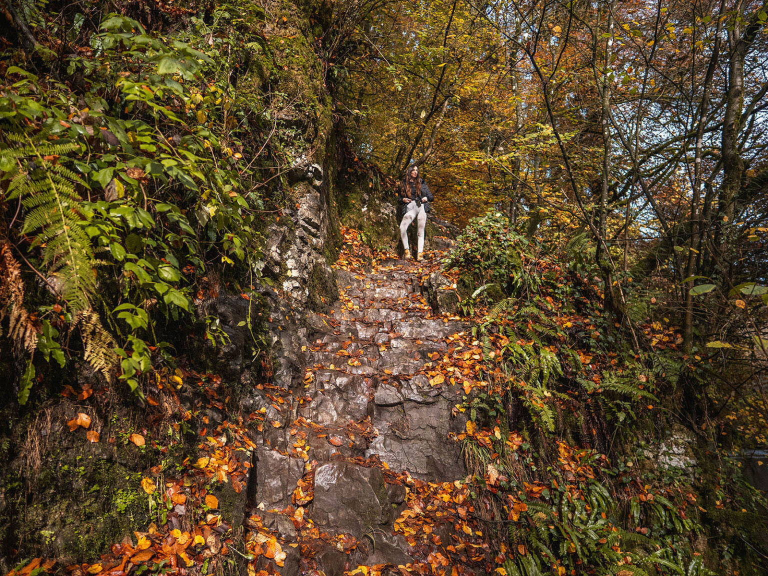 Chee Dale Stepping Stones Walk (Quickest): A Complete Guide