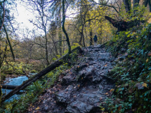 Chee Dale Stepping Stones Walk (Quickest): A Complete Guide