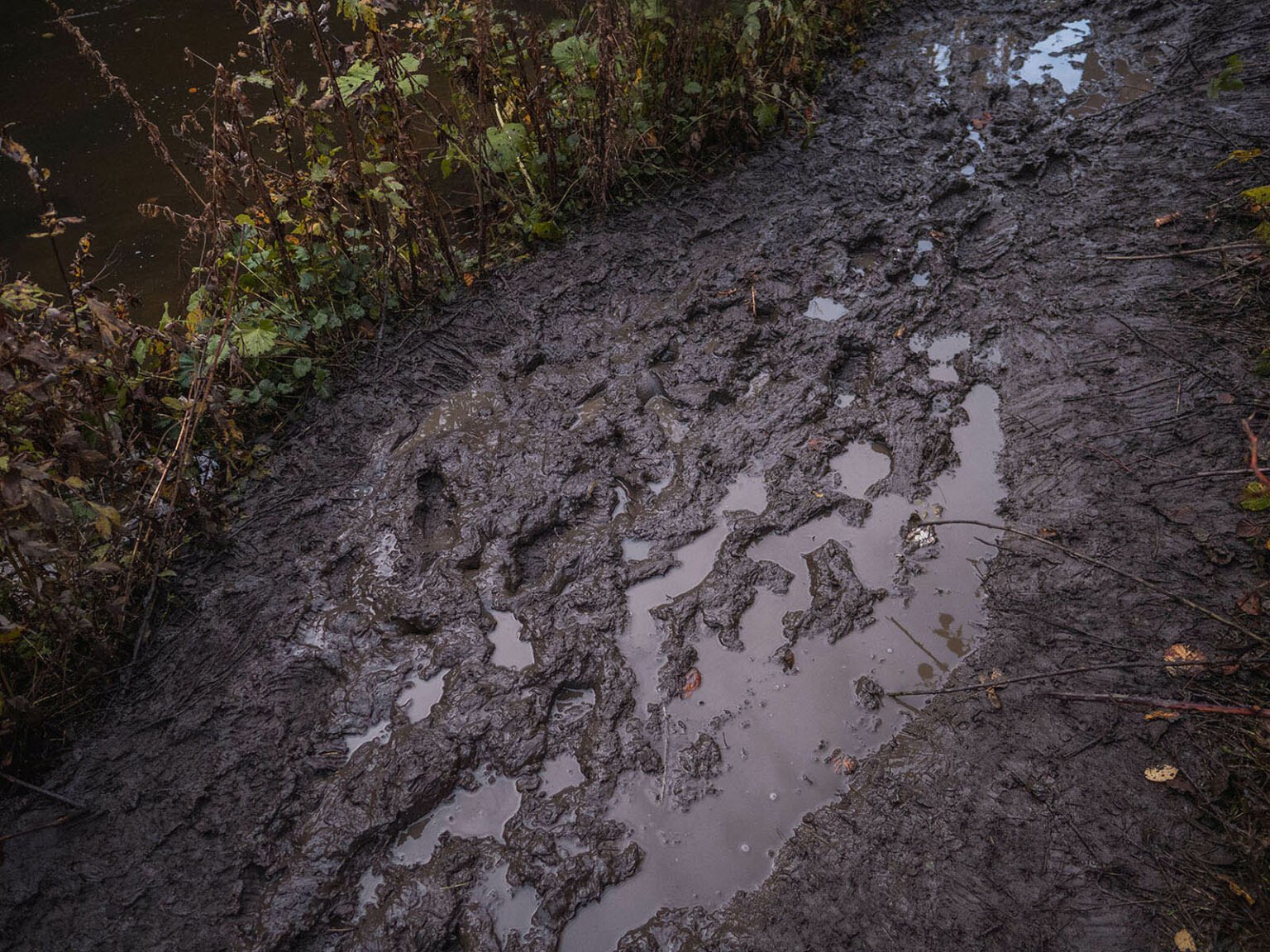 Chee Dale Stepping Stones Walk (Quickest): A Complete Guide