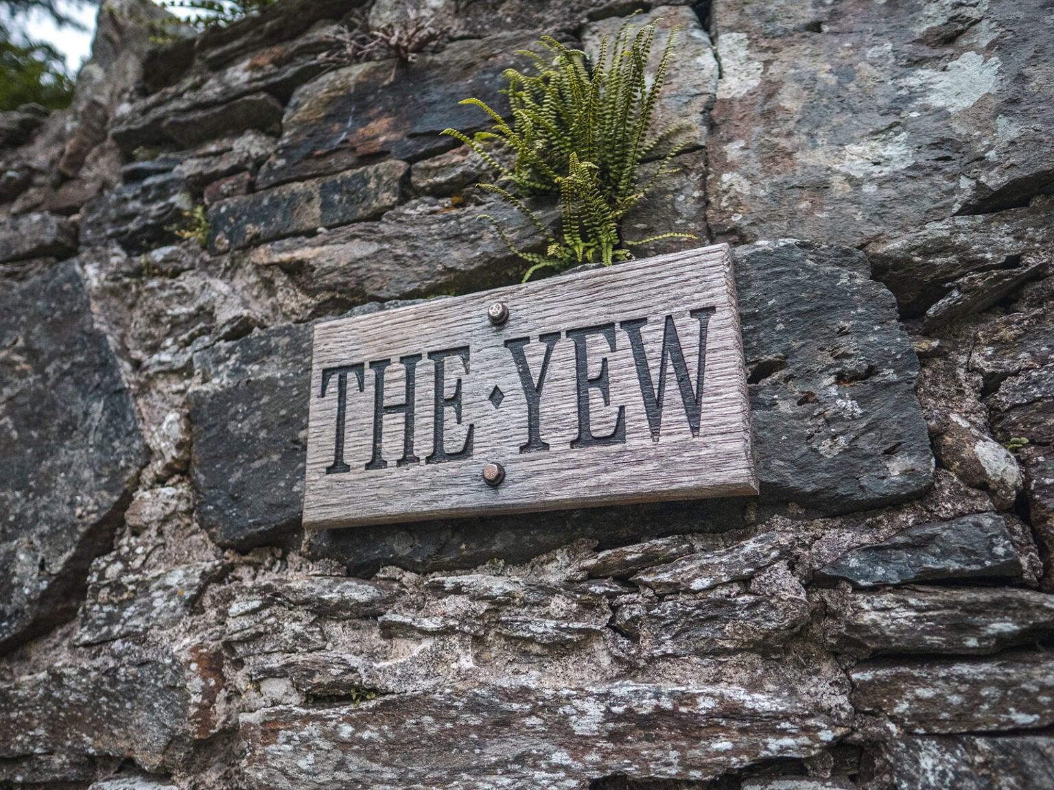 The Fortingall Yew: A Complete Visitor’s Guide